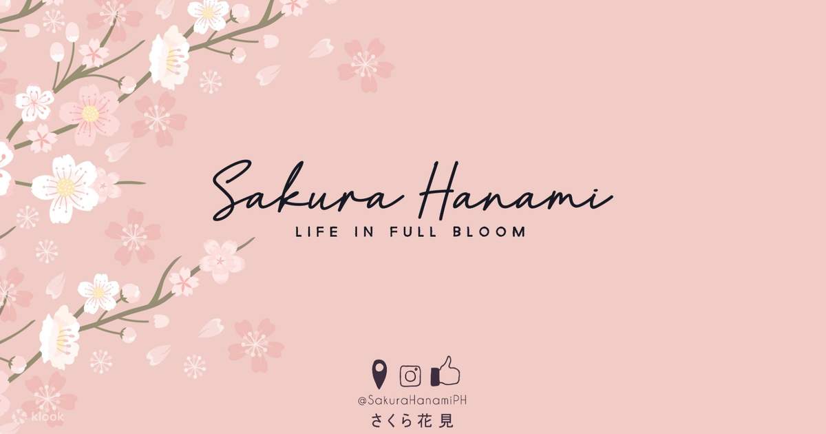 Sakura Hanami, Taft - Klook United States US